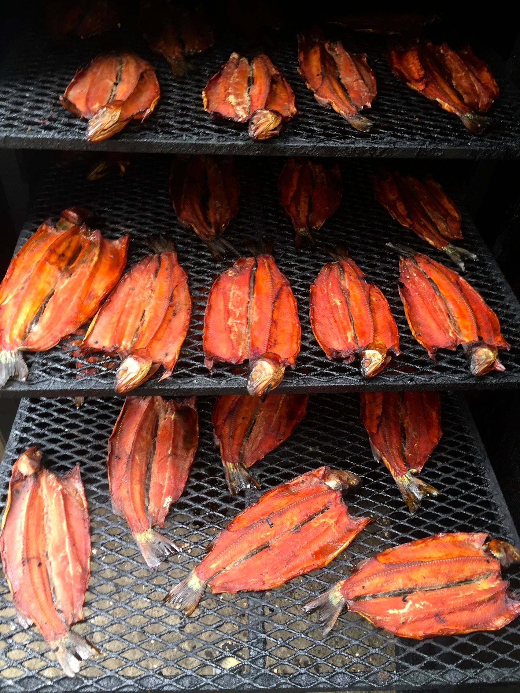 Campsite – HiHium Lake Fishing Resort